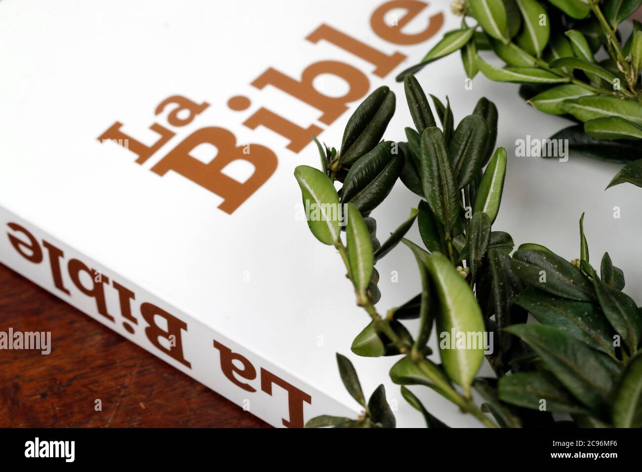 Interieur branch hi-res stock photography and images - Alamy