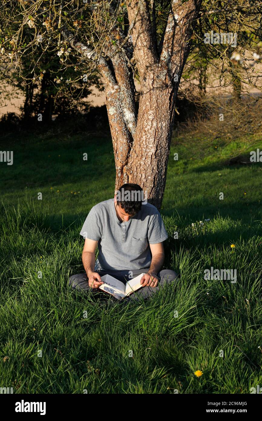 Young man reading the bible under a tree in Eure, France Stock Photo ...