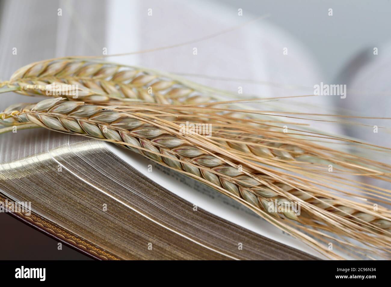The sacred book of the Bible and ears of wheat as a symbol of spiritual ...