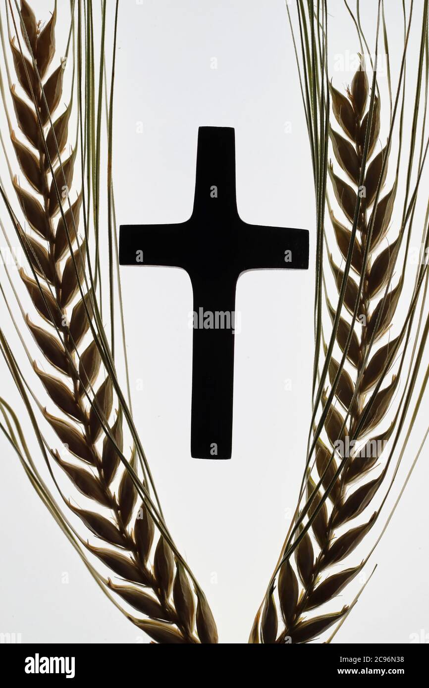 Christian cross and ears of wheat. France Stock Photo - Alamy