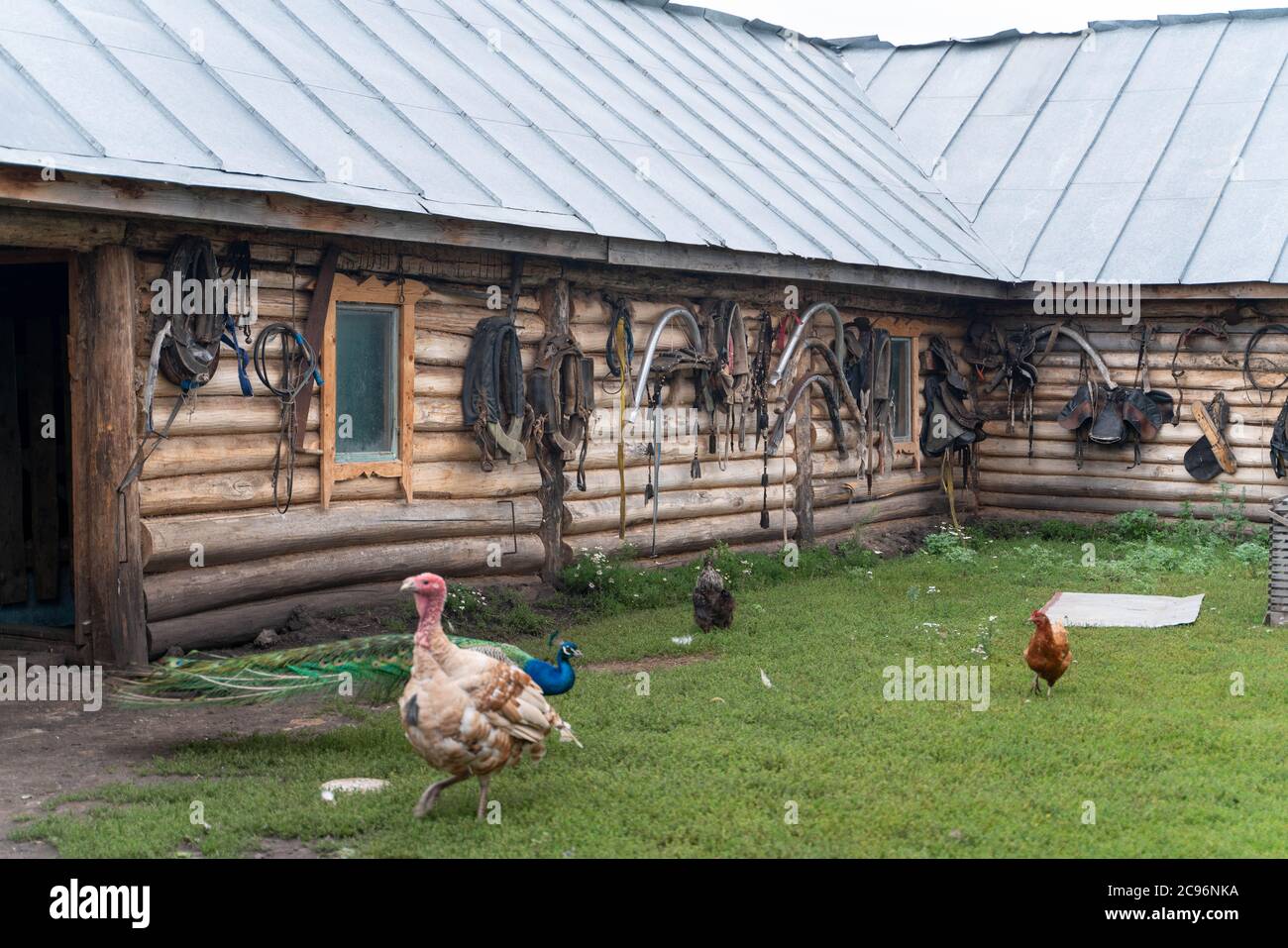 The old traditional village in kazan region Stock Photo - Alamy