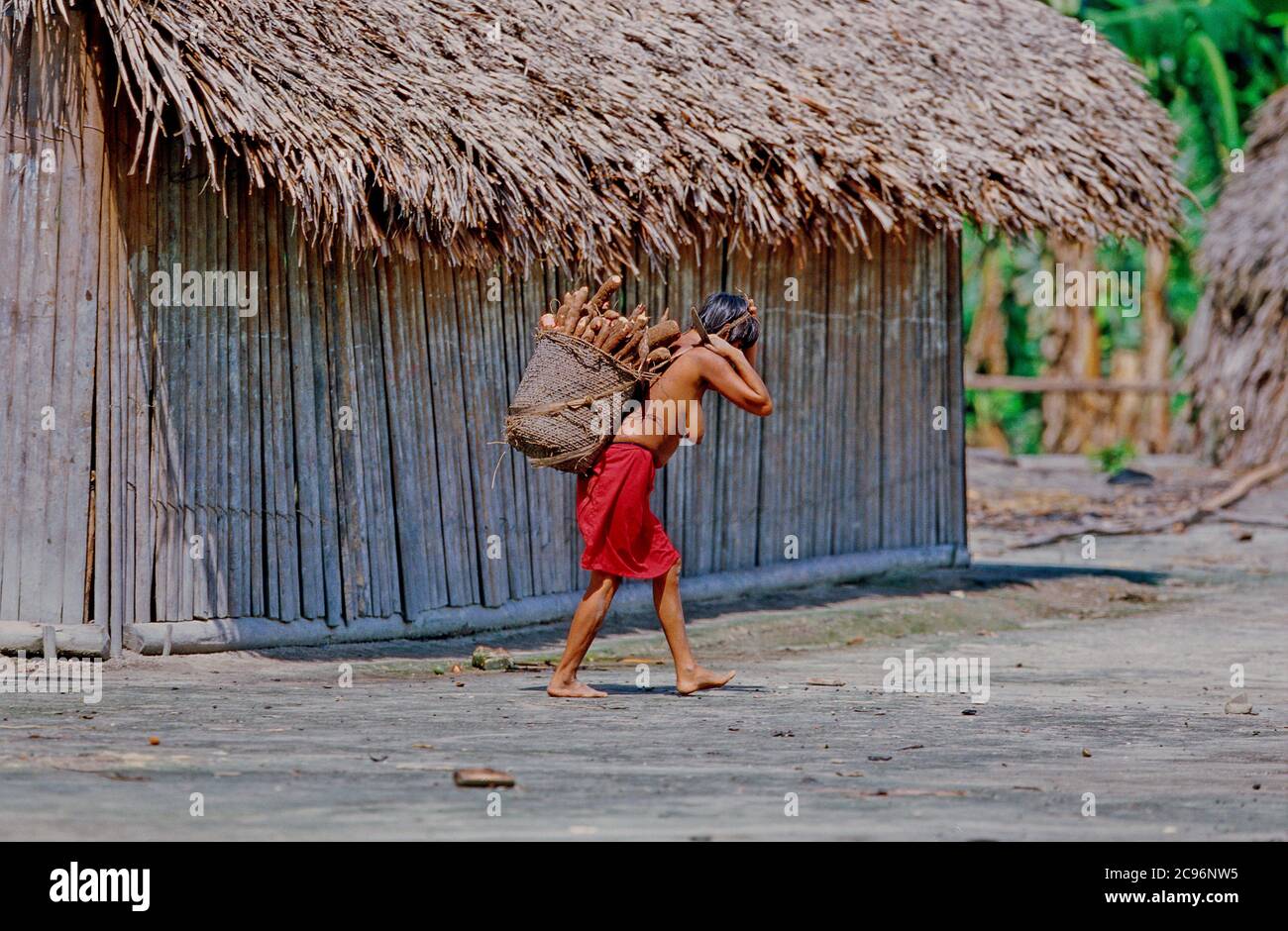 INDIOS YANOMAMI, IRONAVI TRIBE, CANOEING ON BRAZO CASIQUIAIRE, AMAZONAS ...