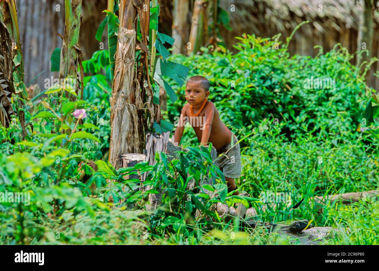 INDIOS YANOMAMI, GIRL WITH BABY, IRONAVI TRIBE, BRAZO CASIQUIAIRE ...