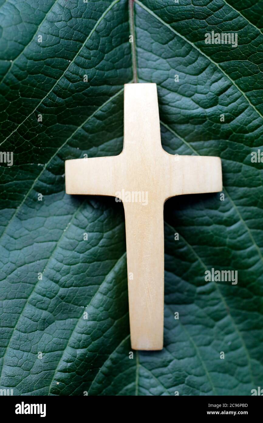 Leaf france hi-res stock photography and images - Alamy