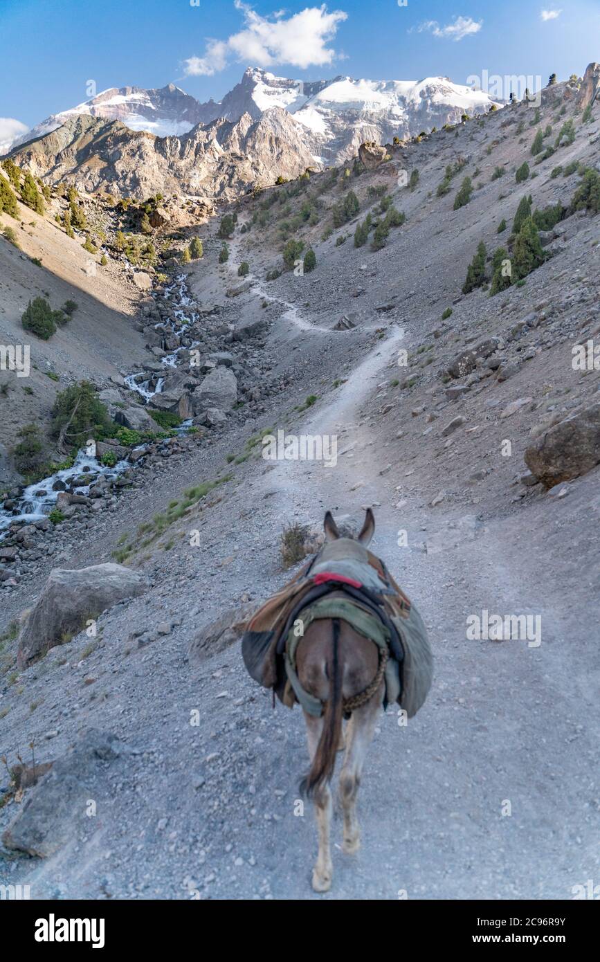 Donkey carrying tourist hi-res stock photography and images - Alamy
