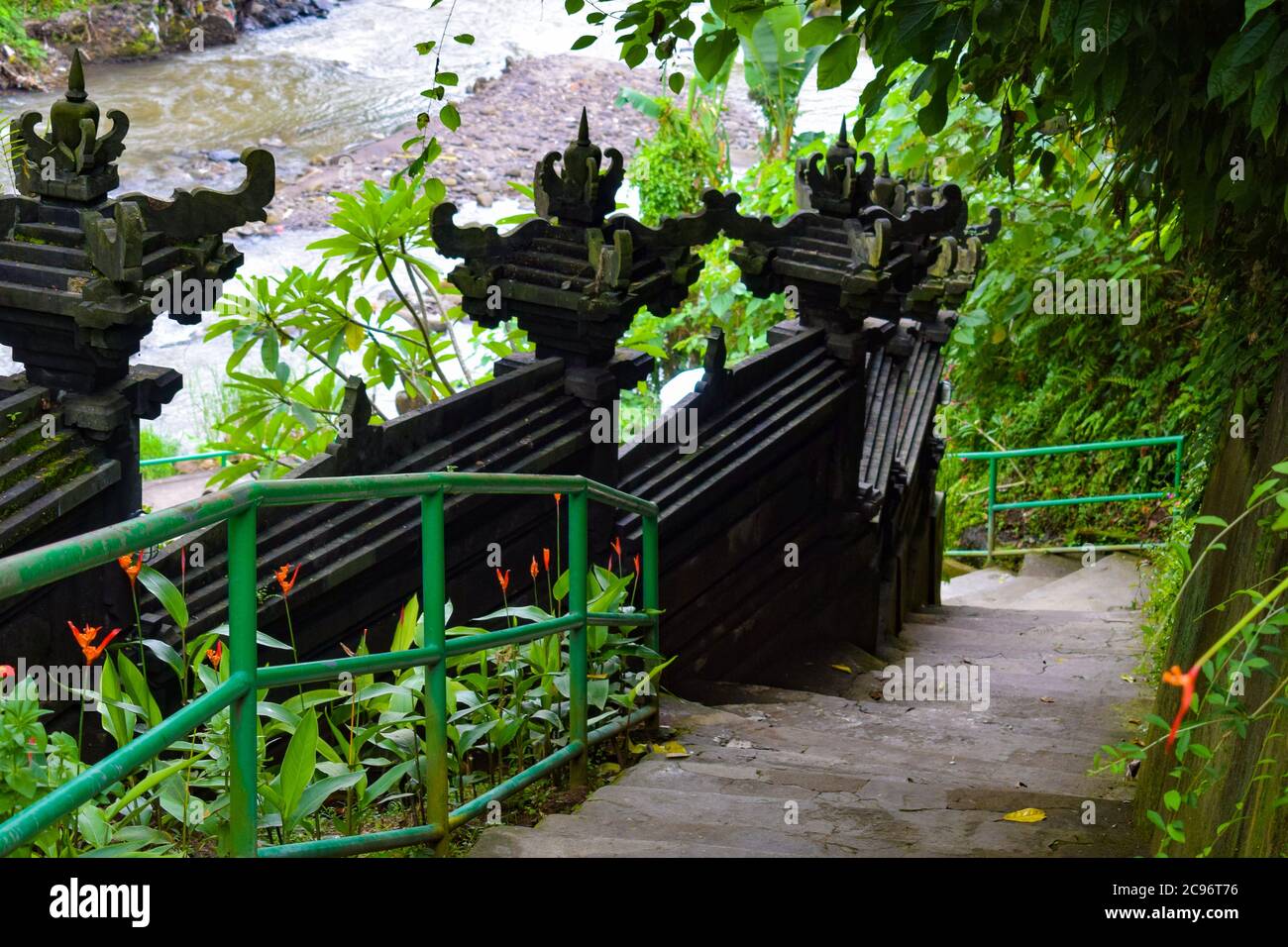 Big tree with branches and land with herbs, Big Trees in nature, scenic ...