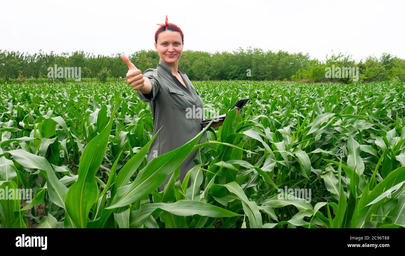 A smiling woman in a corn field gives a thumbs up. Good season for ...