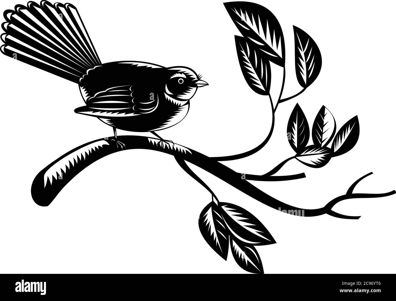 Tail fanned Stock Vector Images - Alamy