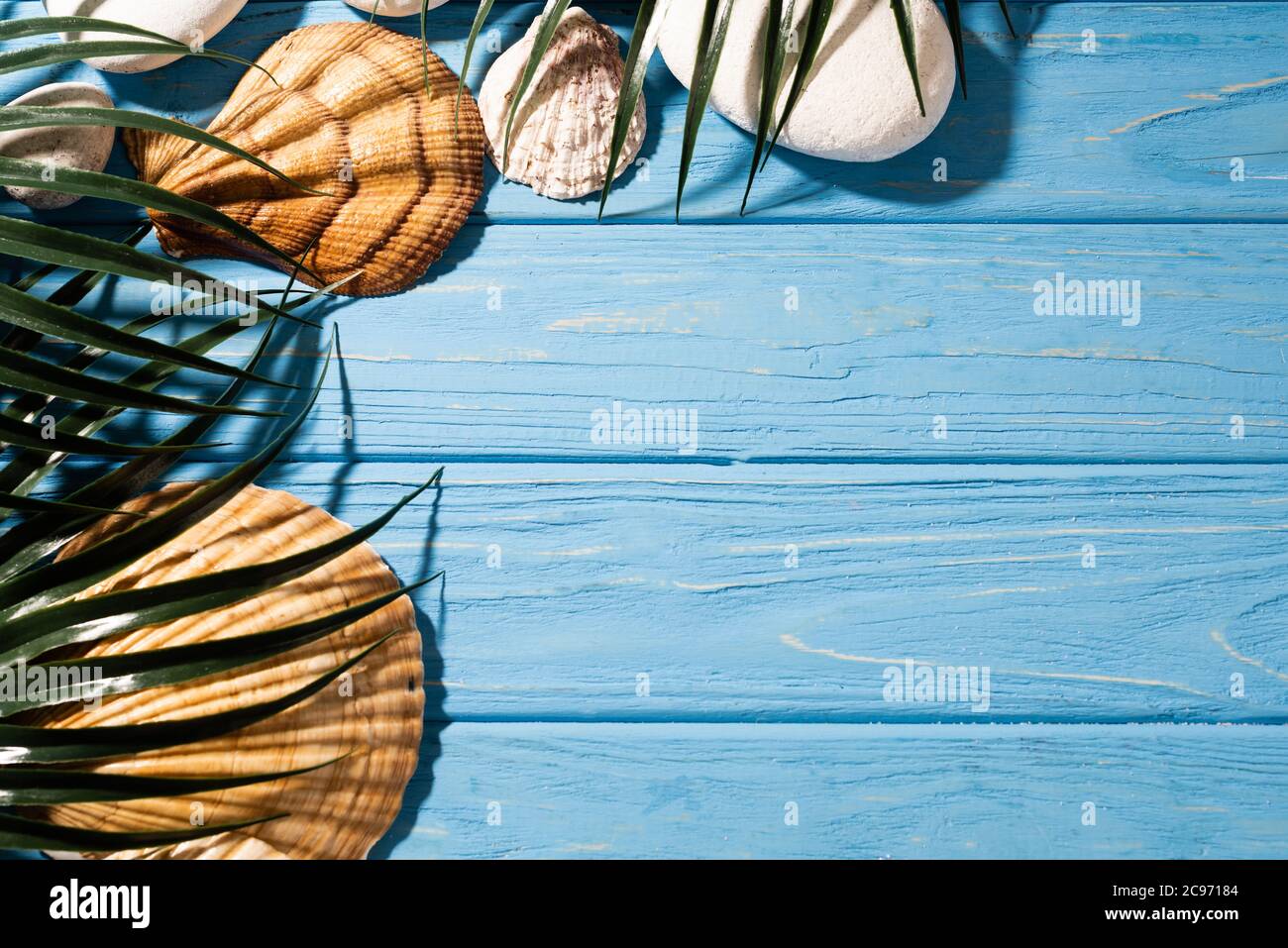 top view of seashells and palm leaves on wooden blue background Stock ...