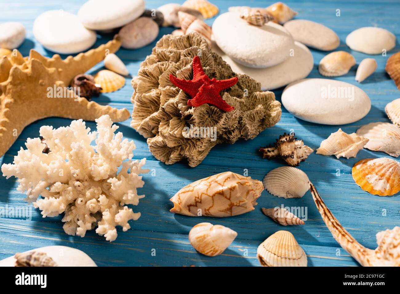red starfish, coral and seashells on wooden blue background Stock Photo ...