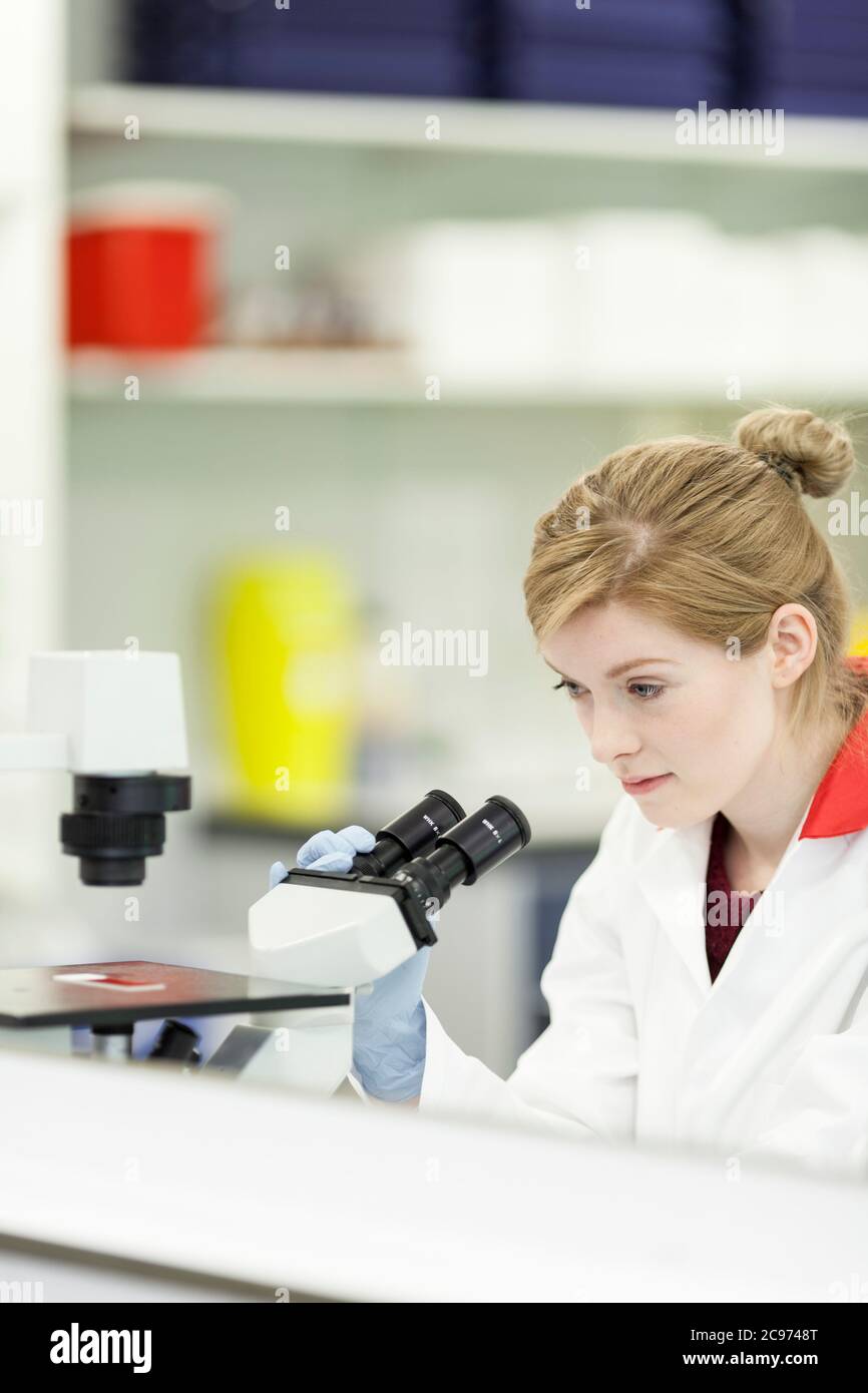 Female scientist research in laboratory Stock Photo - Alamy