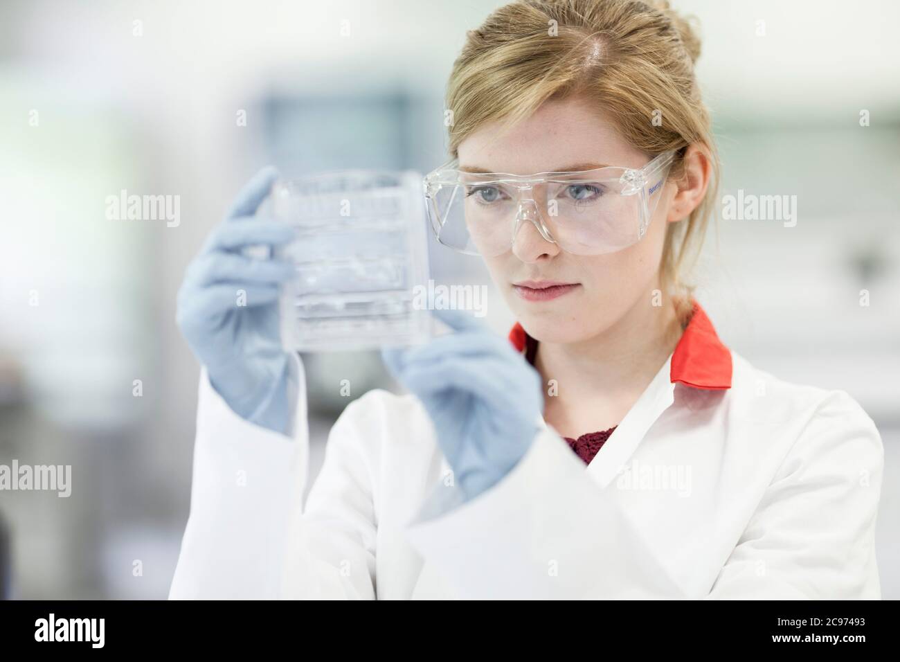 Female scientist research in laboratory Stock Photo - Alamy