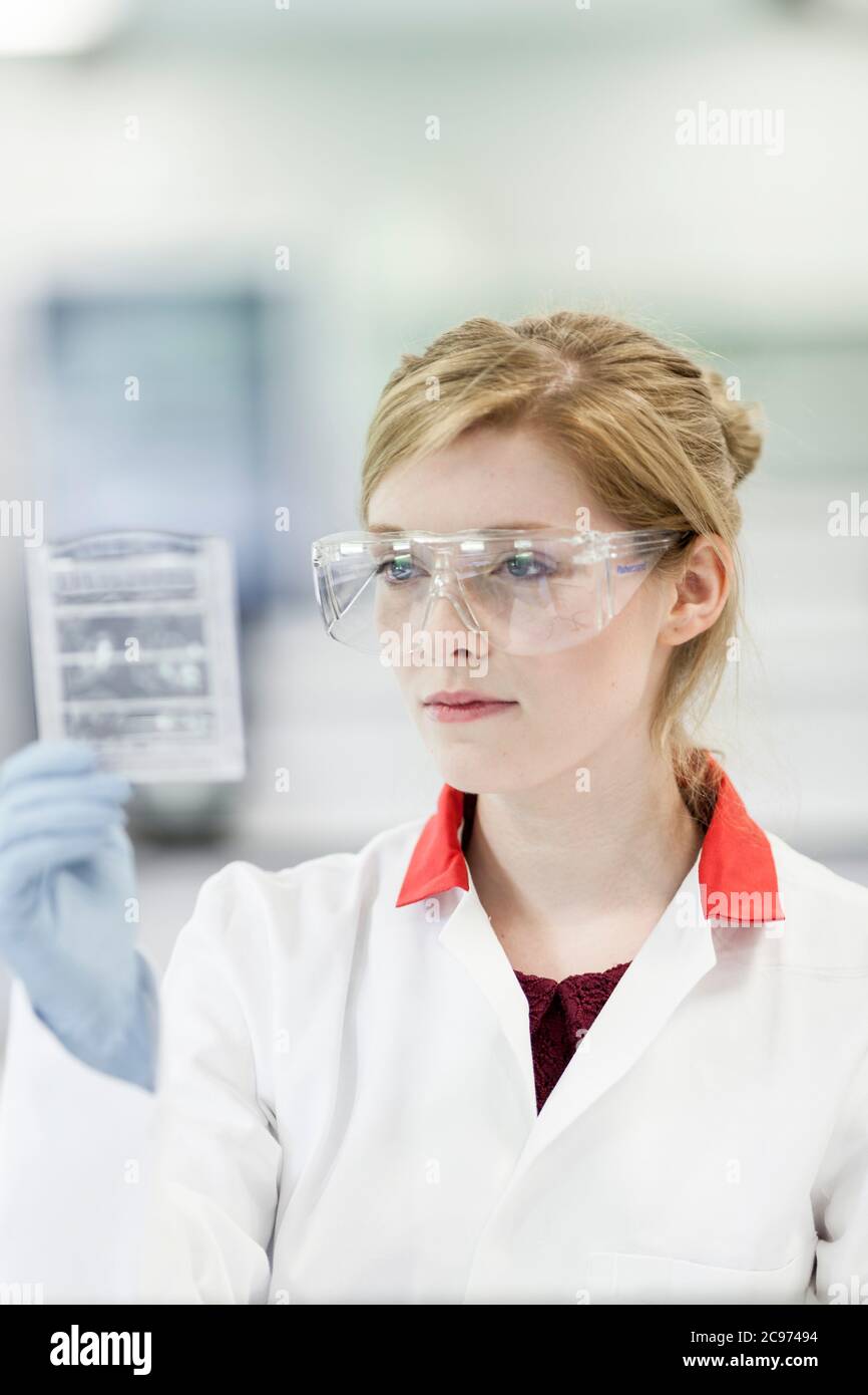 Female scientist research in laboratory Stock Photo - Alamy