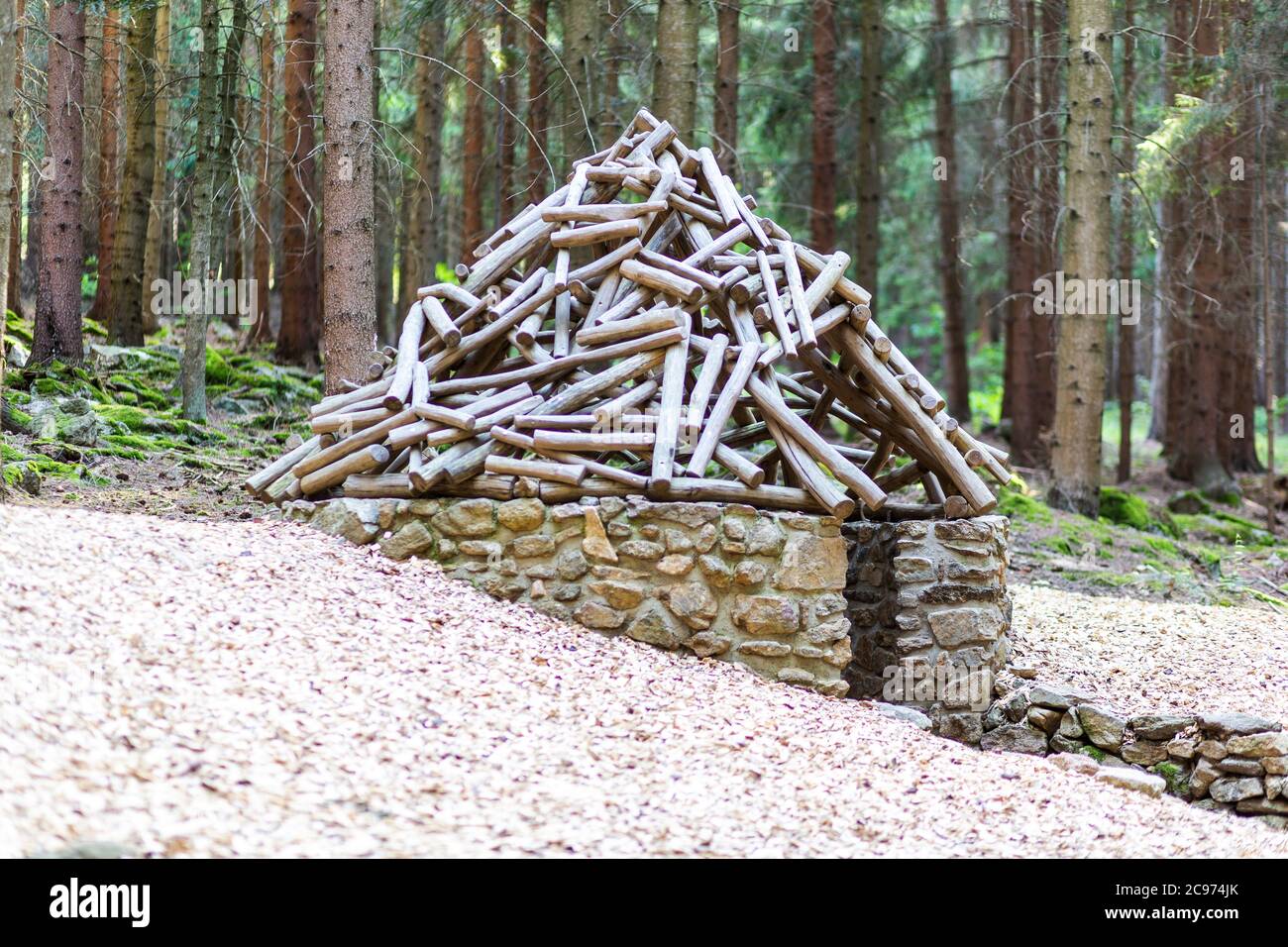 Prachatice, Forest games area, climbing frame, anthill, ant, playground ...