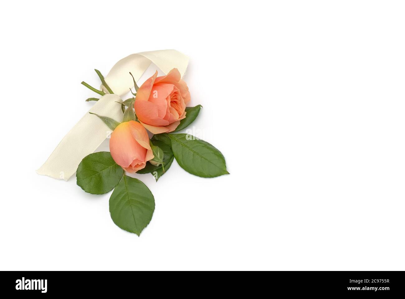 3d rose garden Cut Out Stock Images & Pictures - Alamy