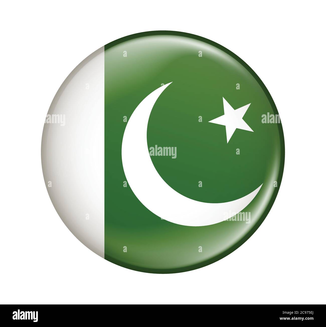 Pakistan flag icon vector illustration isolated on white background ...