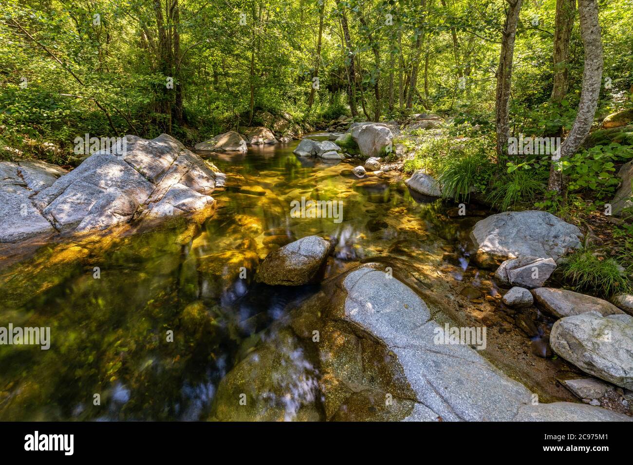 Transparent creek hi-res stock photography and images - Alamy