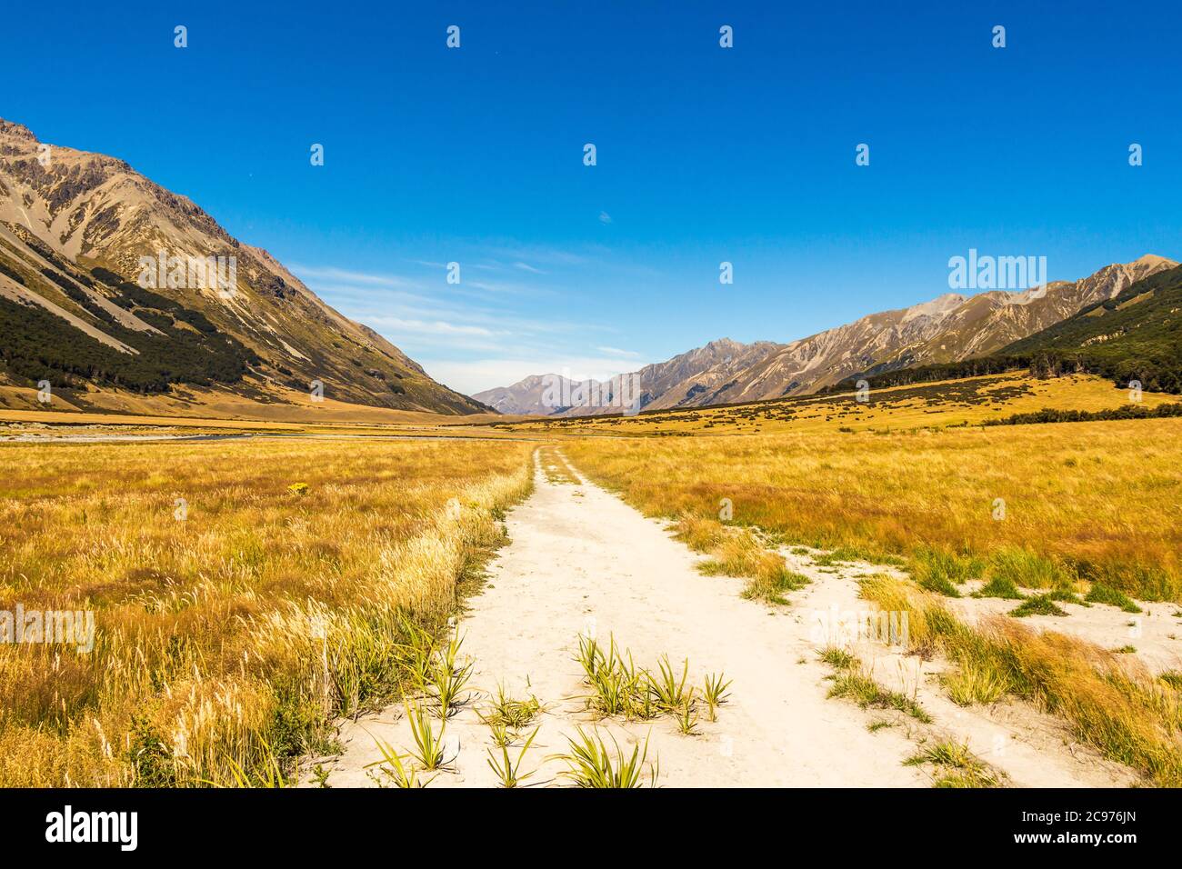 The Ahuriri track, in the conservation park, leading through a ...