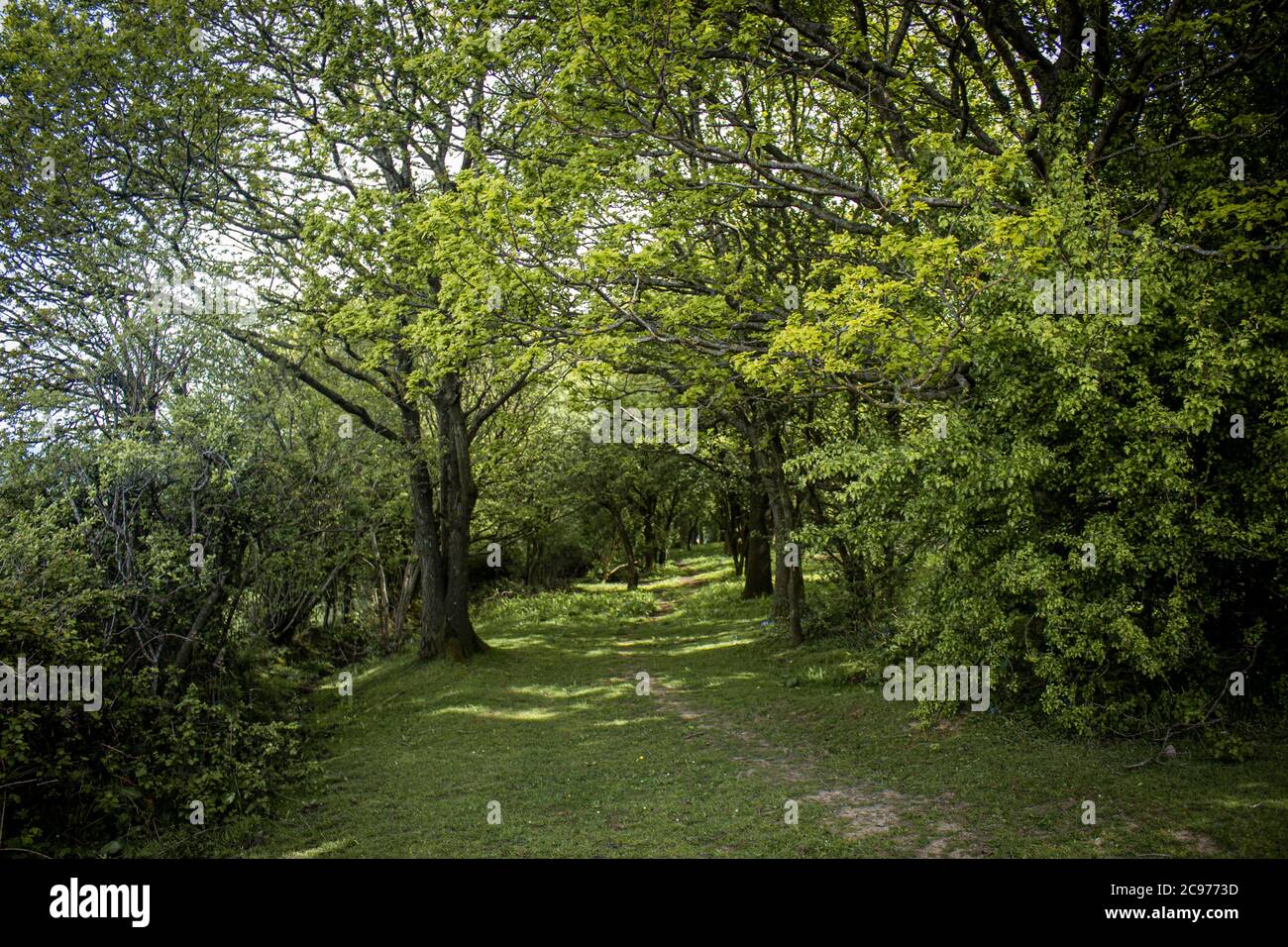 May hill hi-res stock photography and images - Alamy