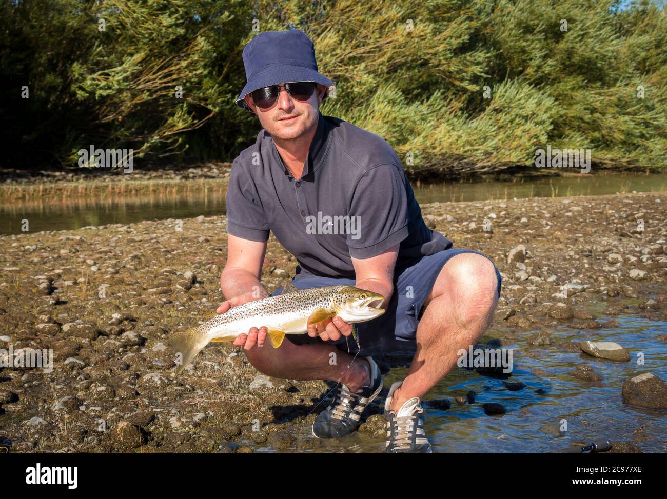 Rainbow trout new zealand hi-res stock photography and images - Alamy