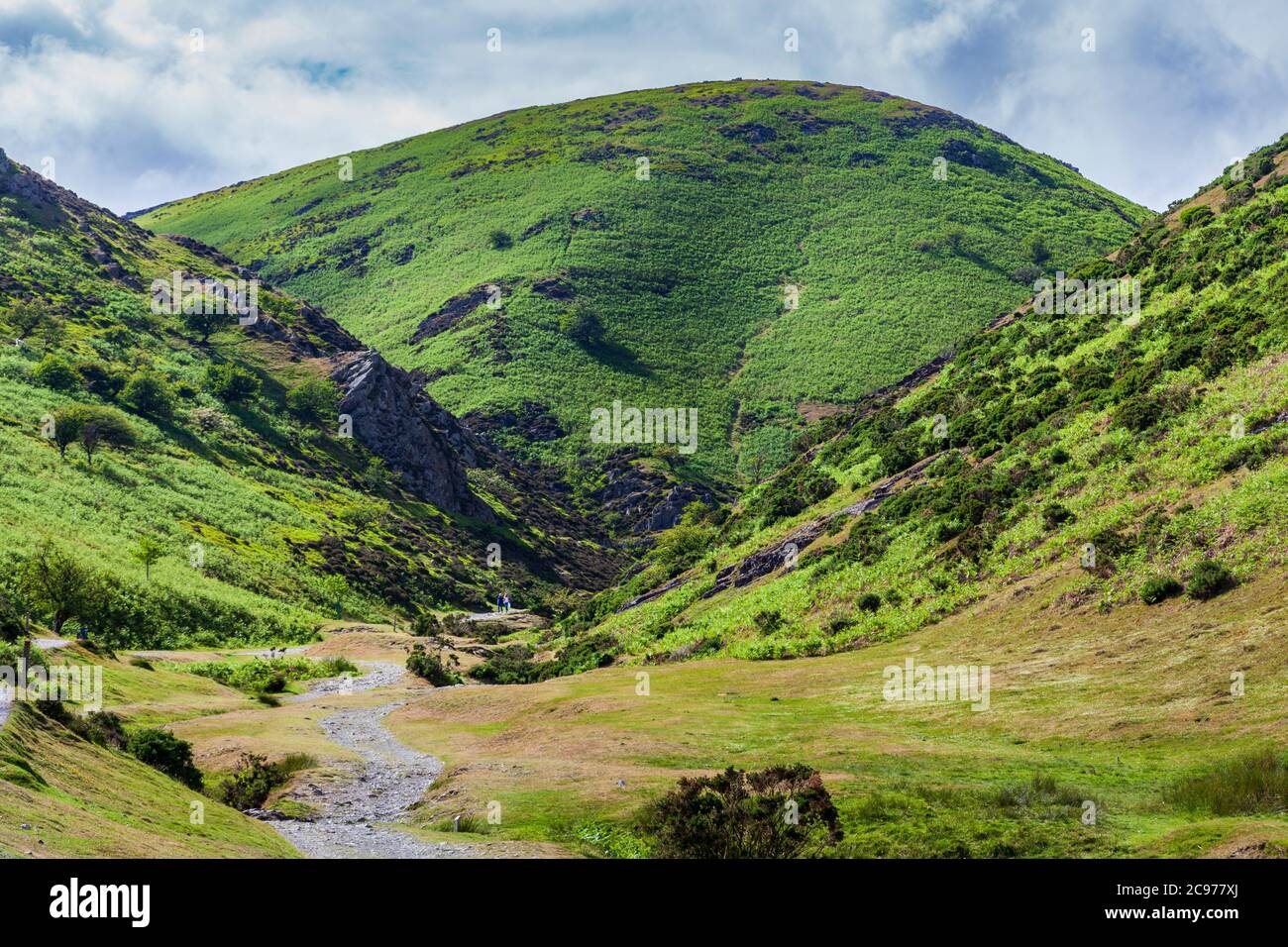 The footpath through Carding Mill Valley with Calf Ridge in the ...
