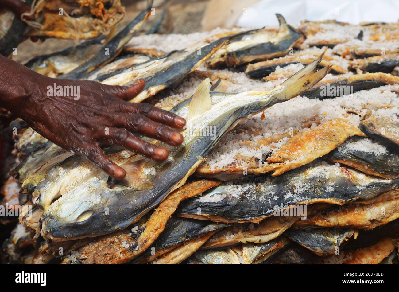 Artisanal fish processing site in Cayar, Senegal Stock Photo - Alamy