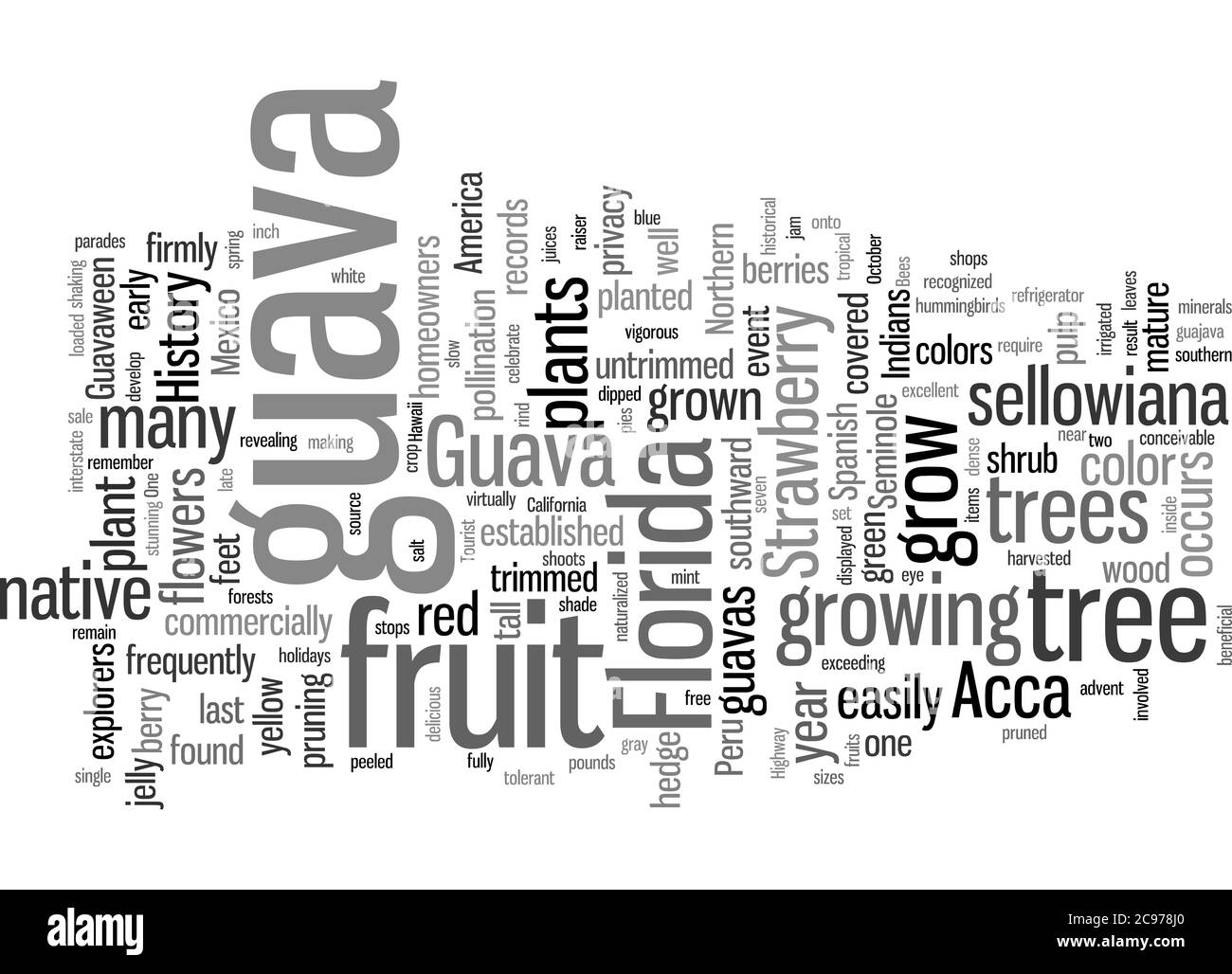 Guava Black and White Stock Photos & Images - Alamy