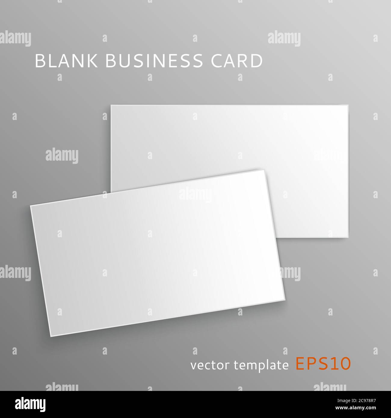 Vector blank business card isolated on gray background Stock Vector ...