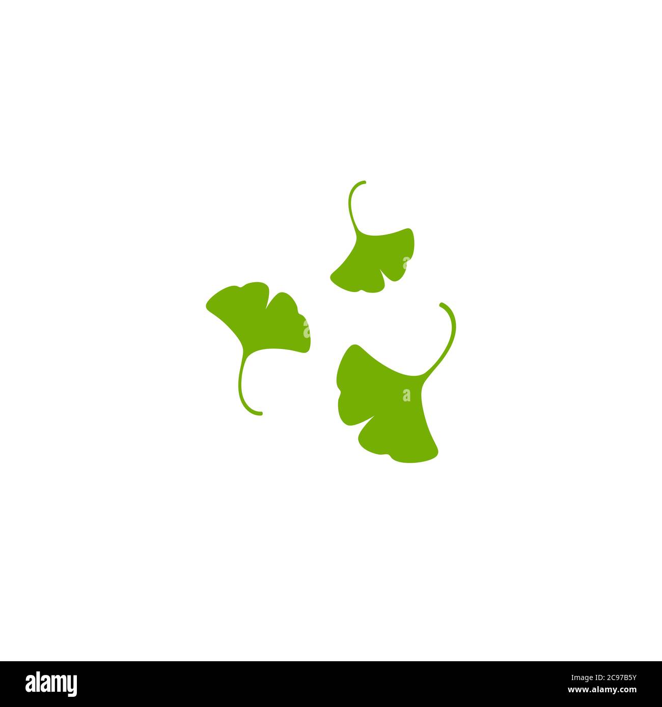 Cartoon flat green ginkgo biloba leaves isolated on white. Nature eco ...