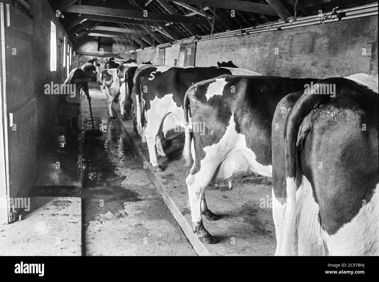 38 17 Black and White Stock Photos & Images - Alamy