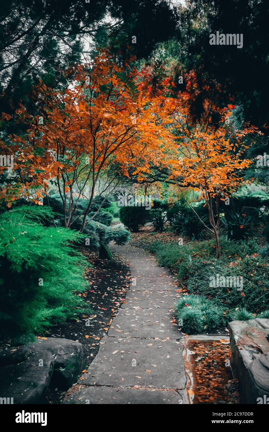 Beautiful view of mesmerizing nature at traditional styled Japanese ...