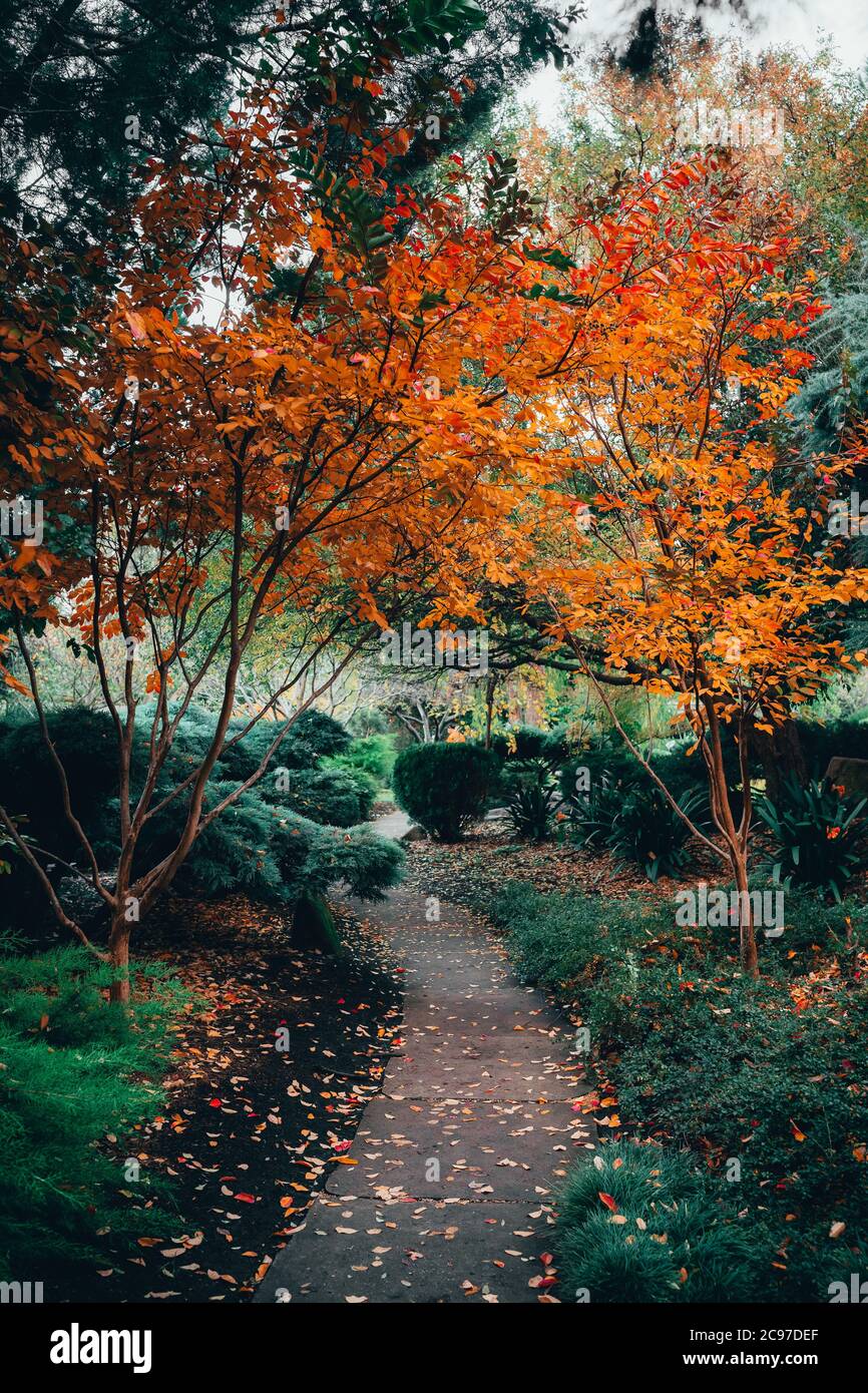 Beautiful view of mesmerizing nature at traditional styled Japanese ...