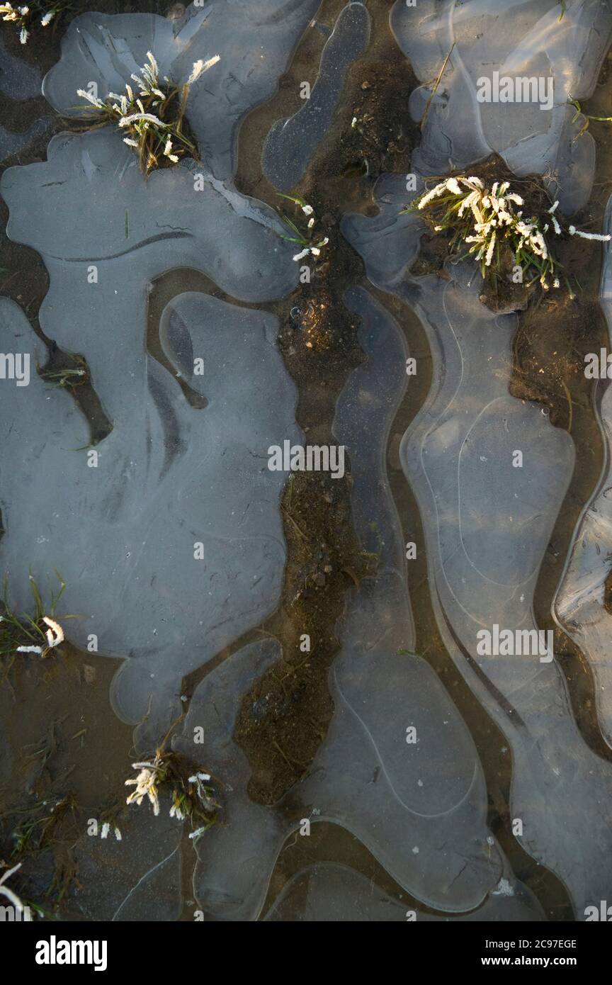 Frozen mud hi-res stock photography and images - Alamy
