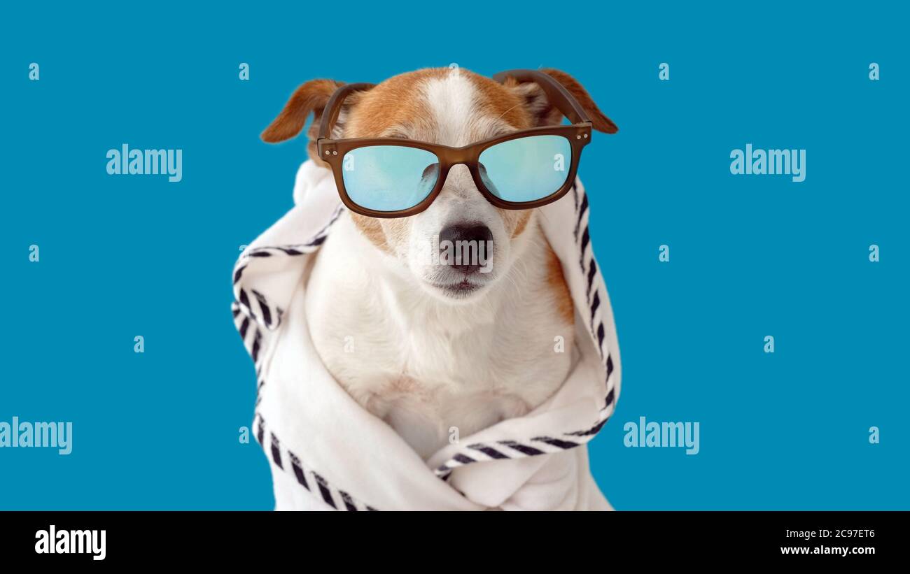 Dog robe hi-res stock photography and images - Alamy