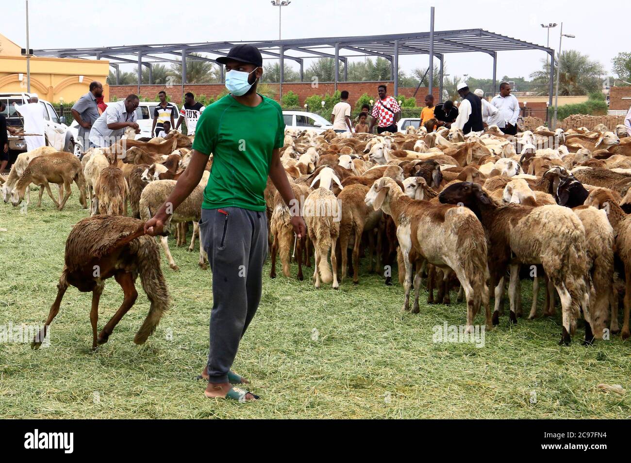 Khartoum, Sudan. 29th July, 2020. People buy sheep at a livestock ...