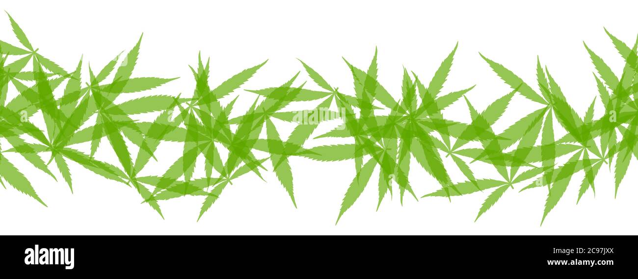 Banner with green cannabis leaves. Garland made from drug marijuana ...