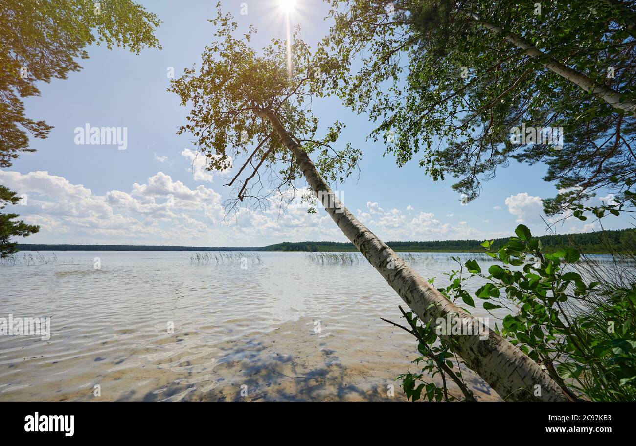 Clean lake beach in forest pn blue sky background Stock Photo - Alamy