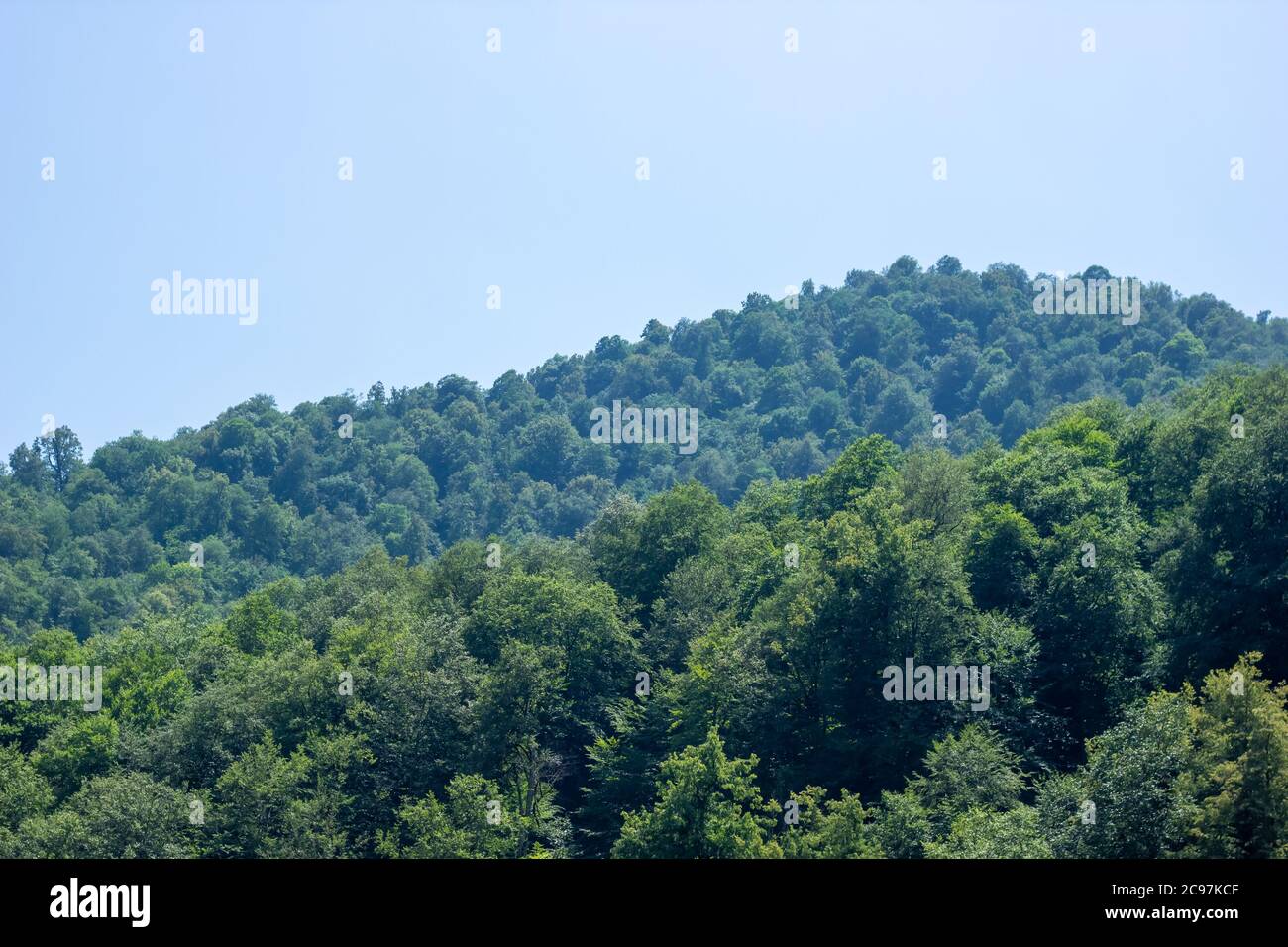 Trees and mountains sky in summer tropical leaves hi-res stock ...