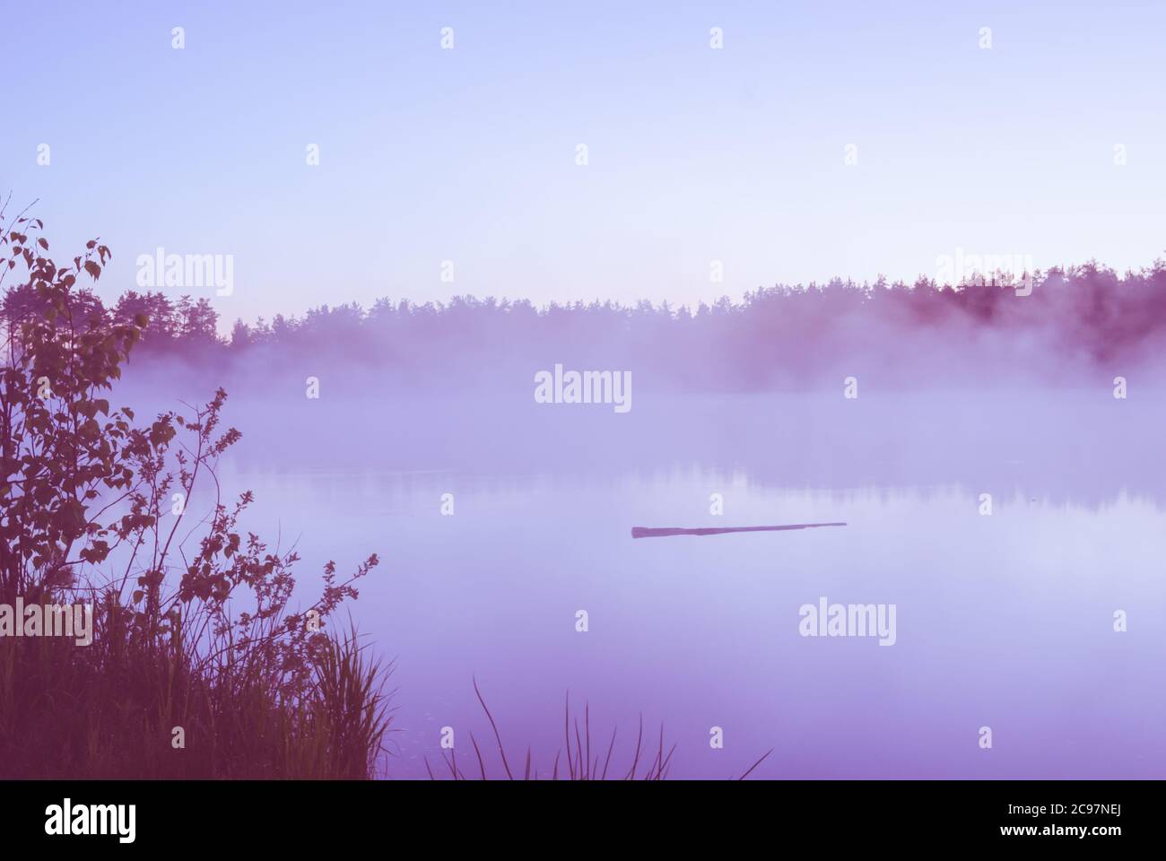 Log floating on river water in morning fog Stock Photo - Alamy