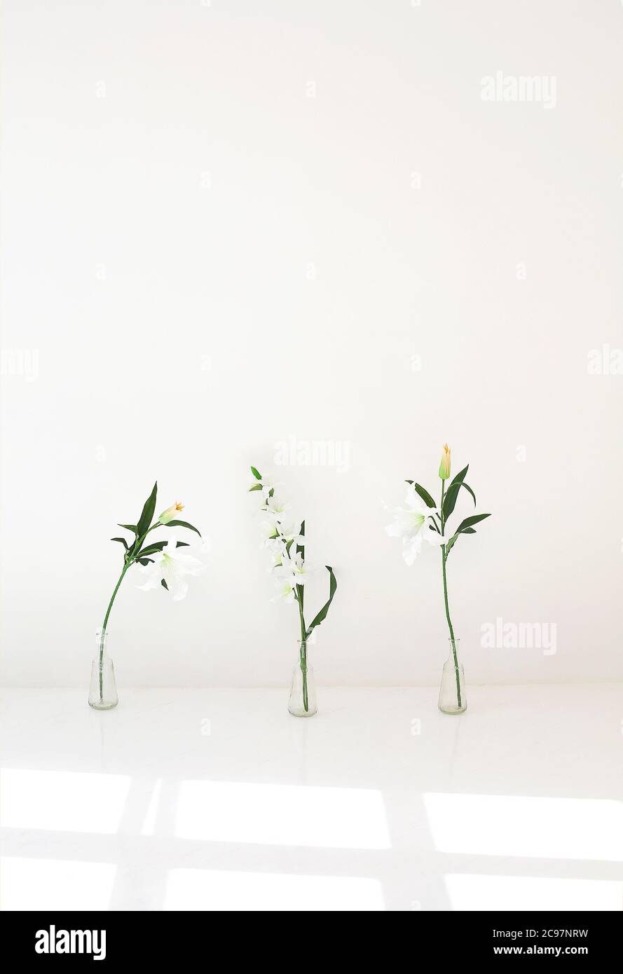 Beautiful natural lilies placed in glass vases against white wall in ...