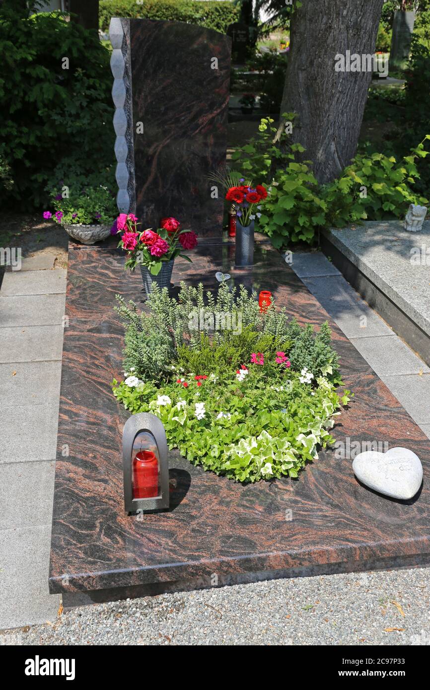 Bone Cutter High Resolution Stock Photography and Images - Alamy