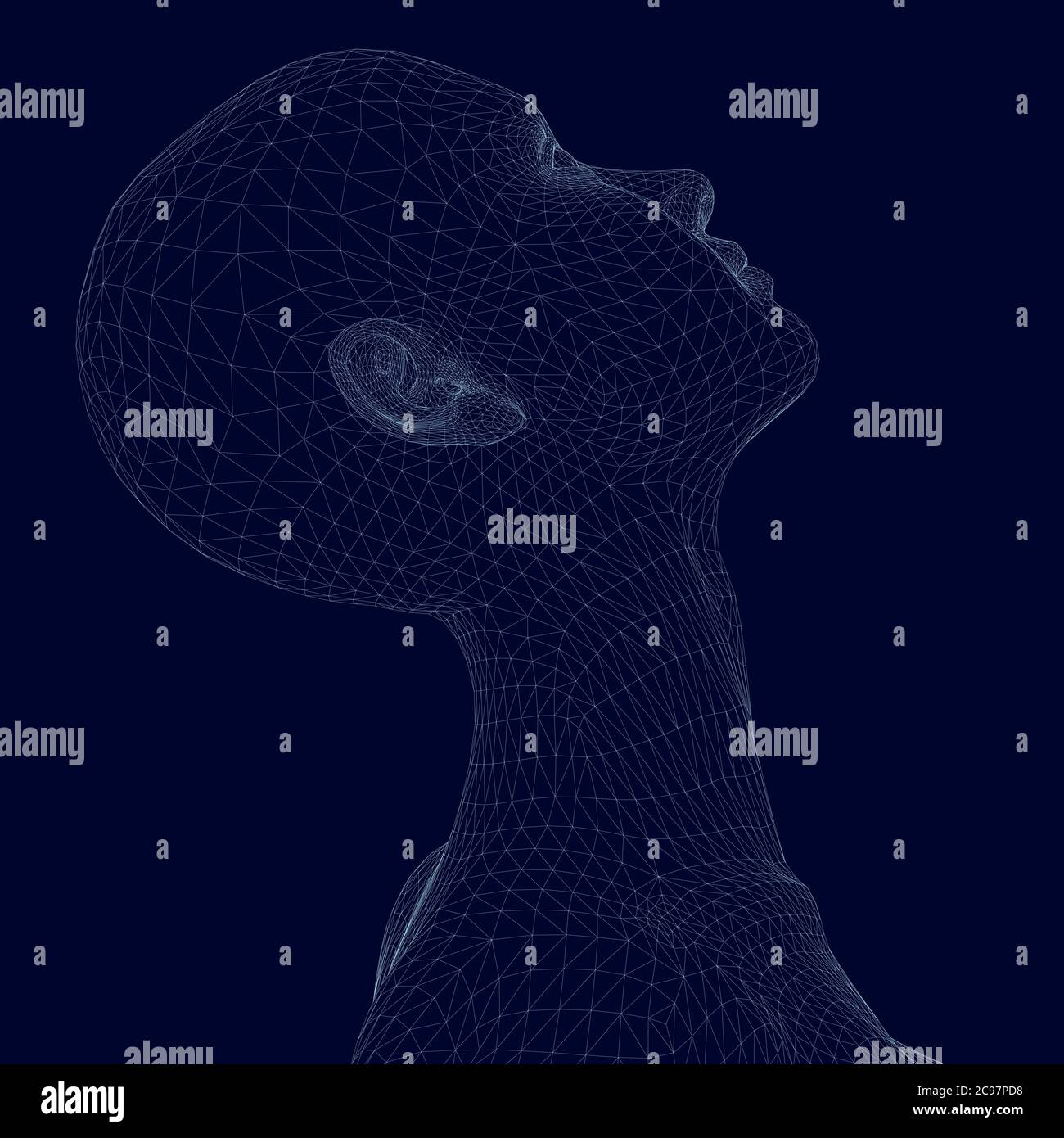Wireframe of a girl with her head up. Wireframe of the girl head from ...