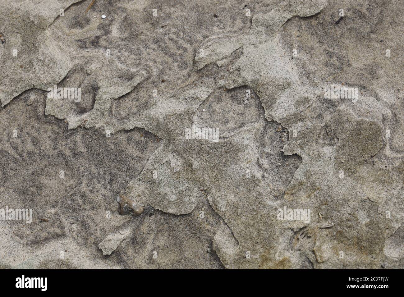 Top view of the gray sand under the lights - great for wallpapers and ...