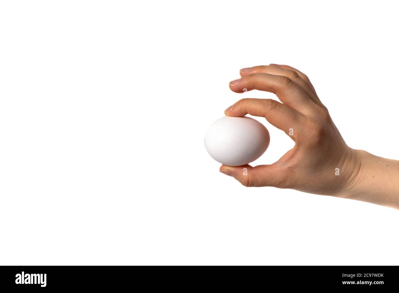 One white chicken egg on a white background in a female hand. OK sign ...