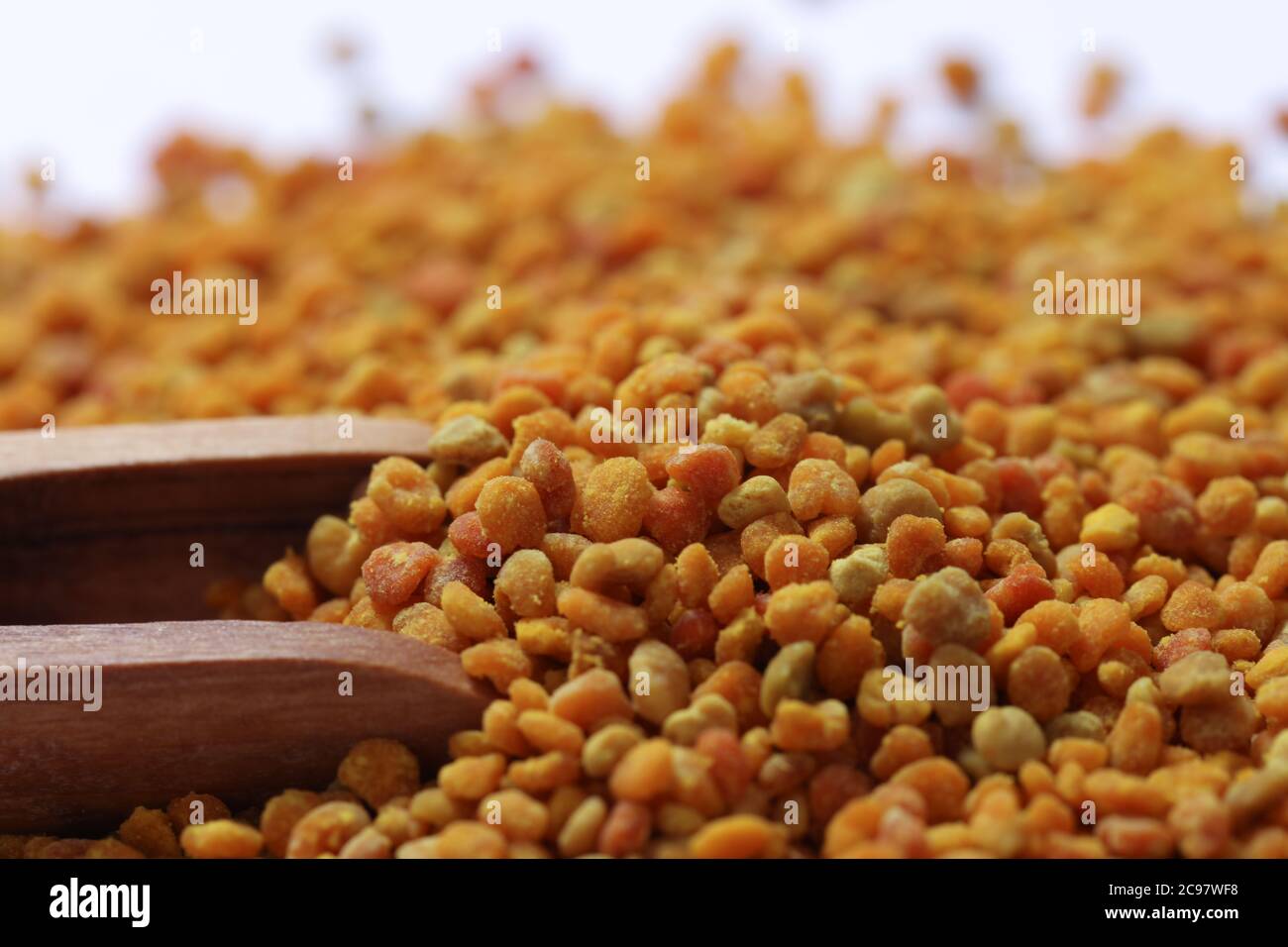 Propolis bees bee pollen on white background Stock Photo - Alamy