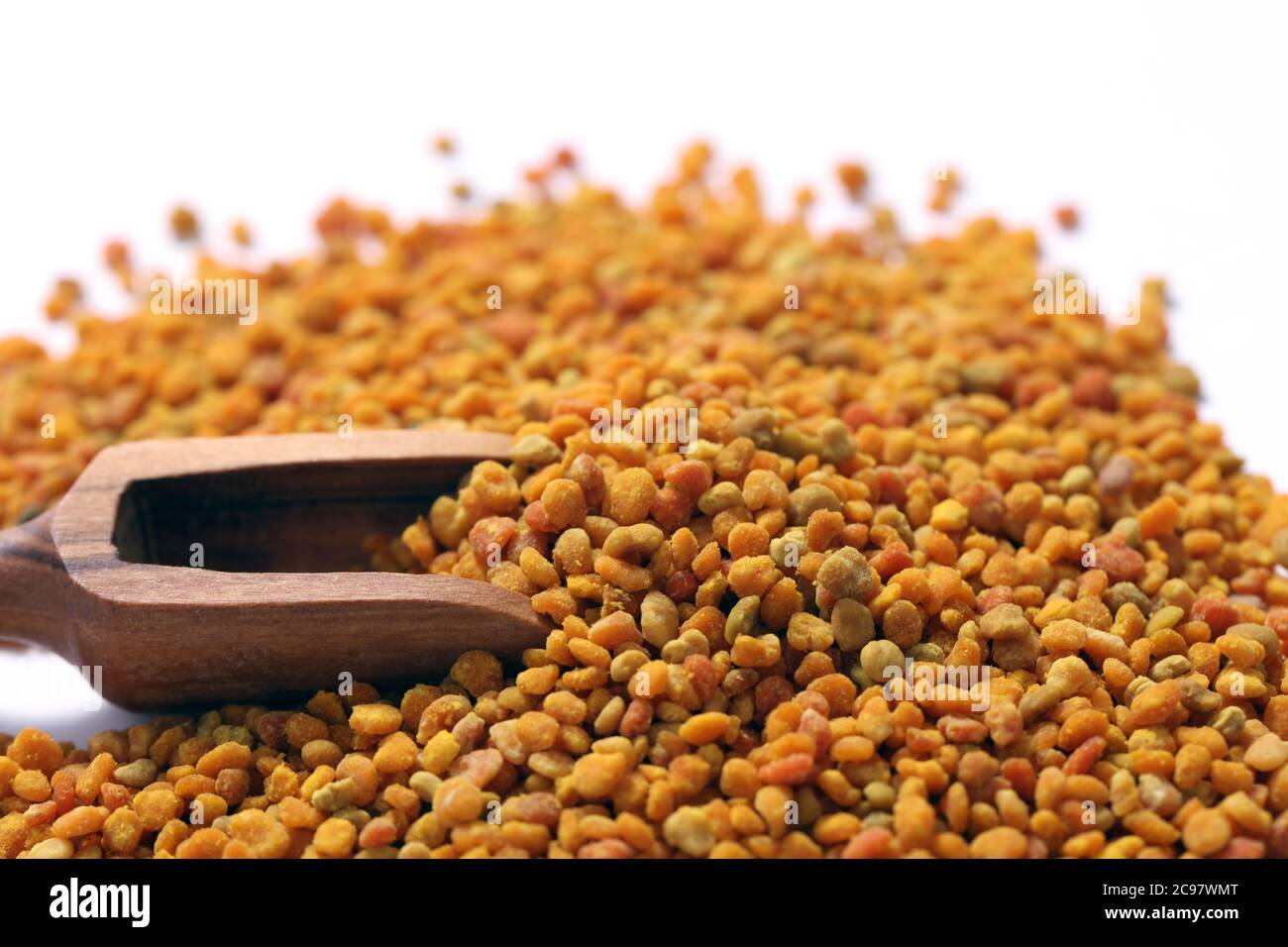 Propolis bees bee pollen on white background Stock Photo - Alamy