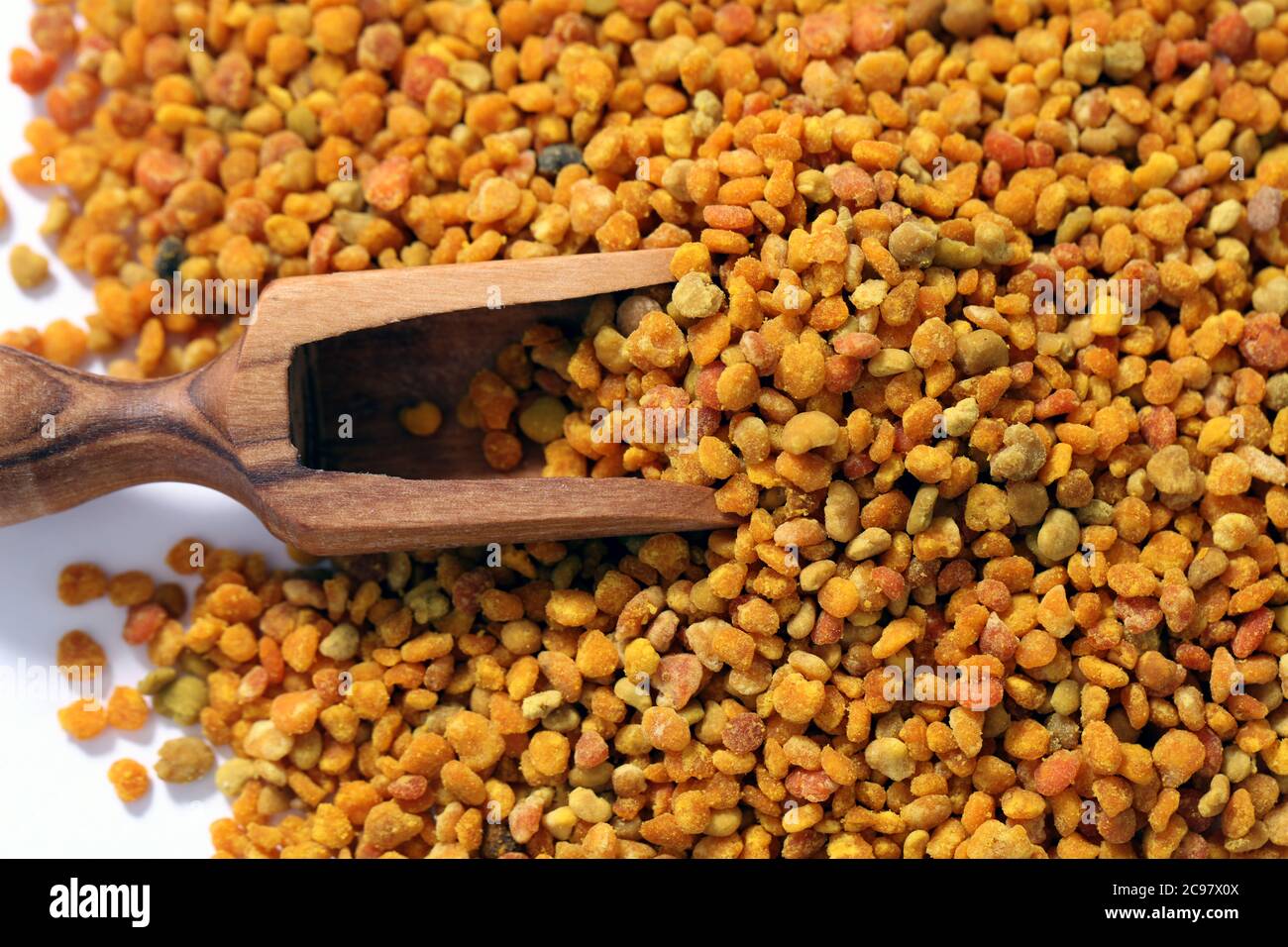Propolis bees bee pollen on white background Stock Photo - Alamy