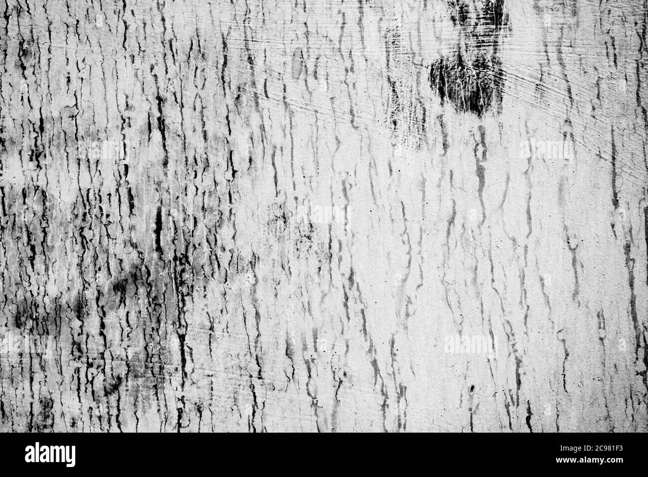 Texture, wood, wall, it can be used as a background. Wooden texture ...