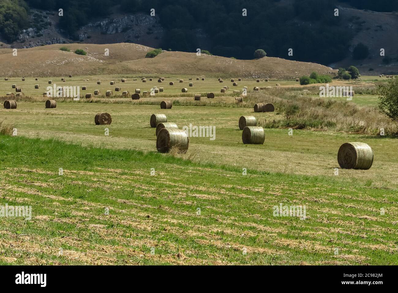 Large fields hi-res stock photography and images - Alamy