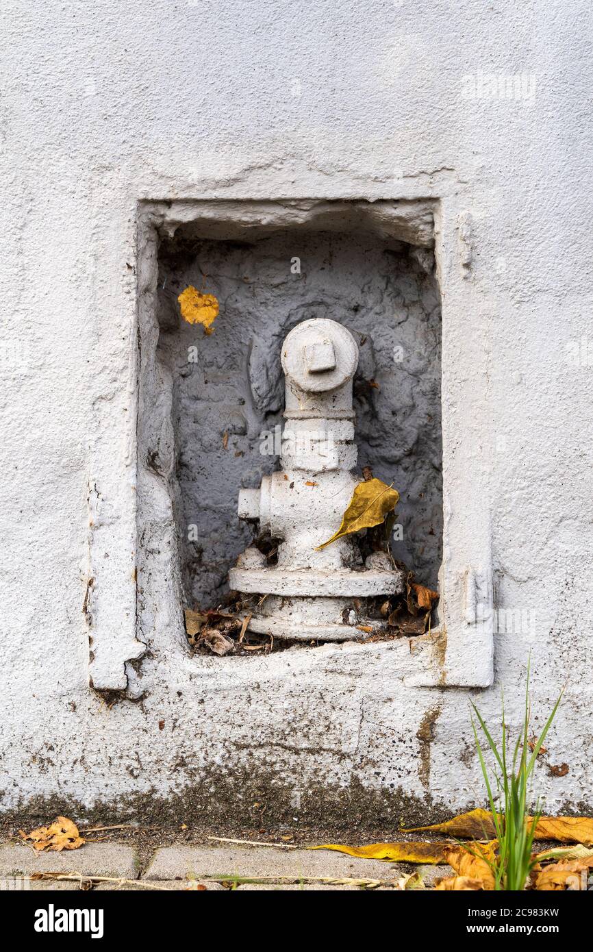 Water line into house visible whit color painted brown leaves green ...